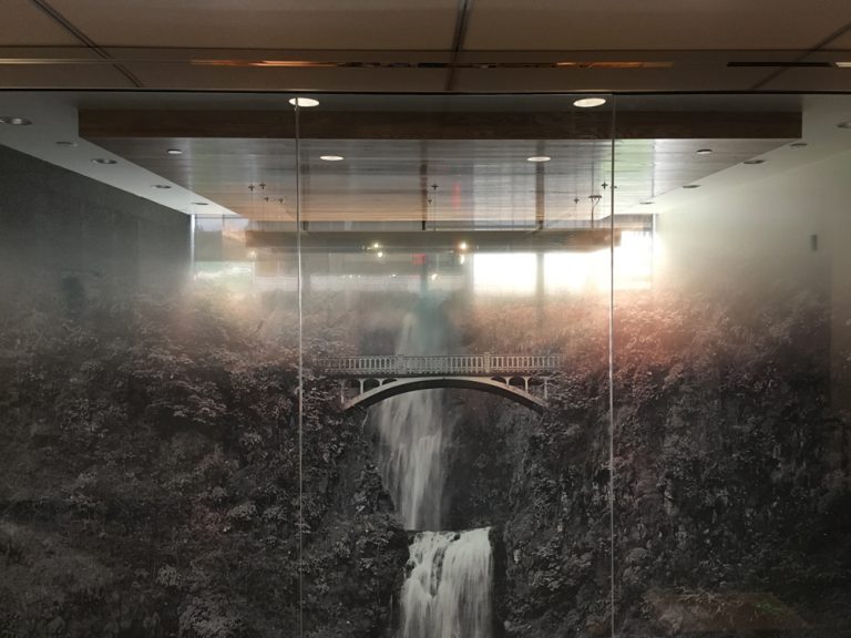 5 Ways to Make Your Logo More Visible | Pacific Window Tint